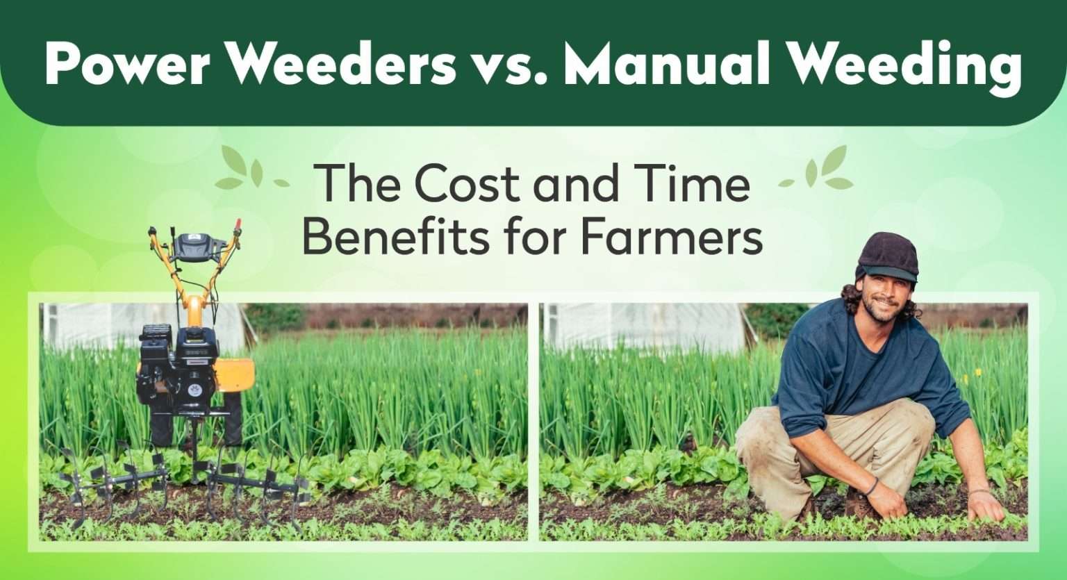 Power Weeders vs. Manual Weeding: The Cost and Time Benefits