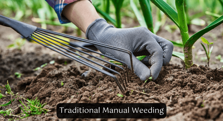 Power Weeders vs. Manual Weeding: The Cost and Time Benefits
